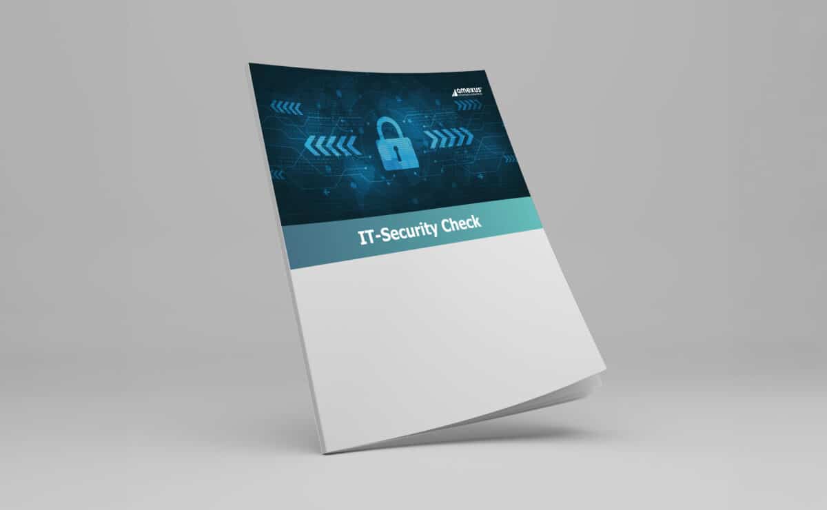 IT-Security Check: Wir decken Ihre Schwachstellen auf - amexus®